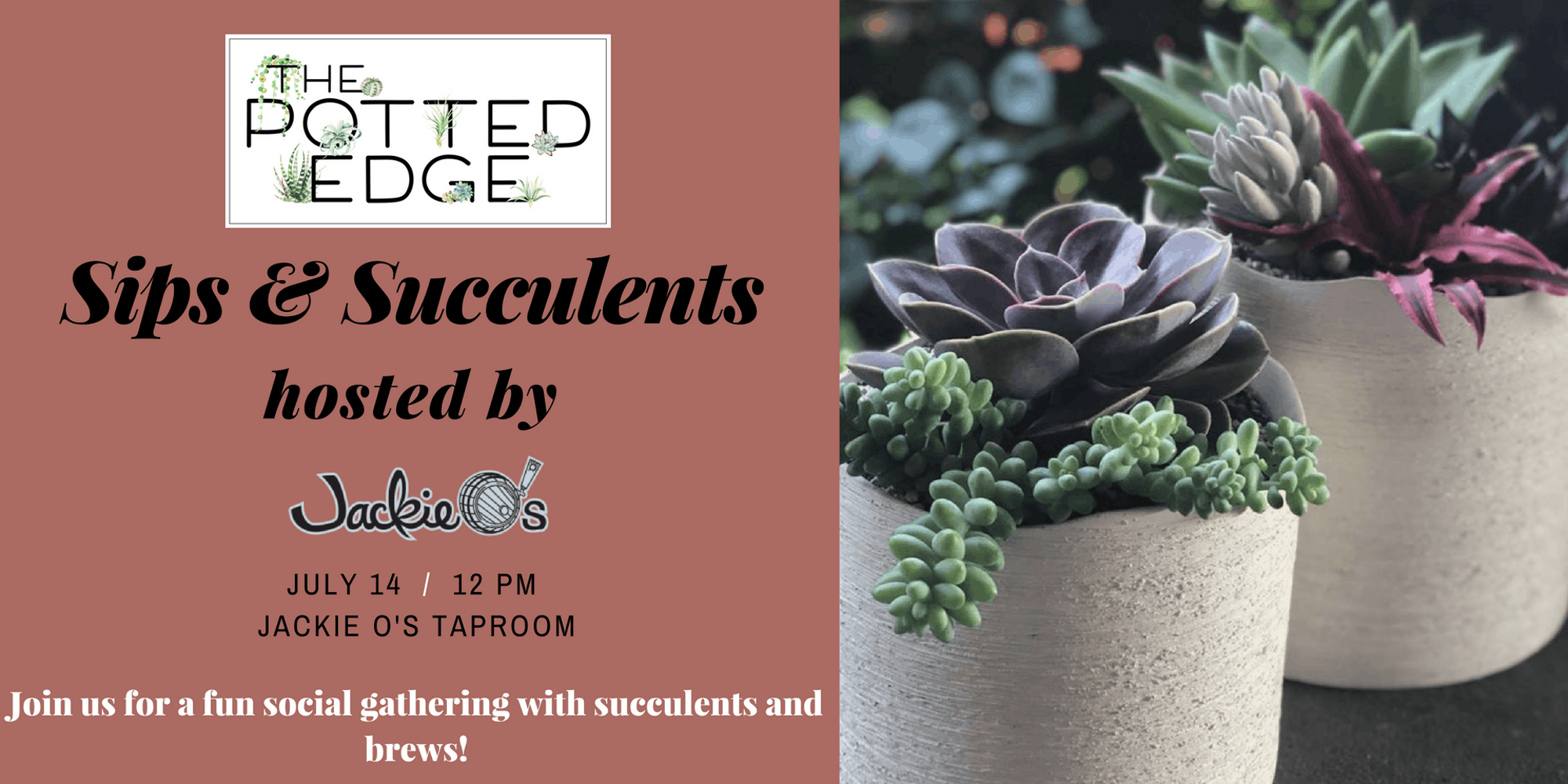 Sips & Succulents - Ohio Brew Week